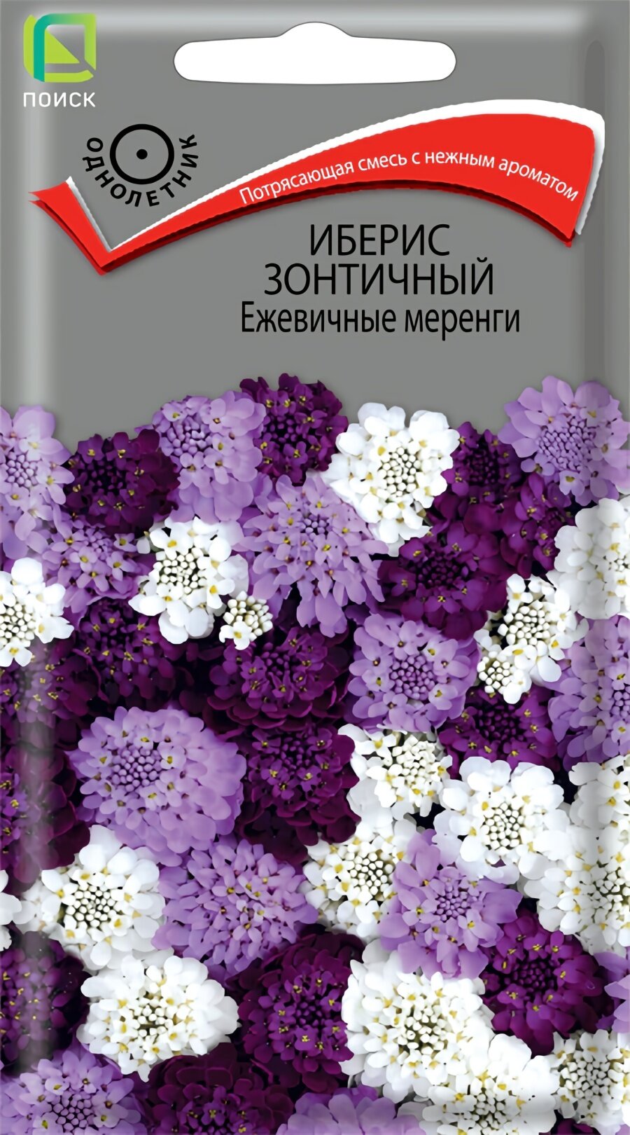 Семена ибериса зонтичного Ежевичные меренги, 0,1 г