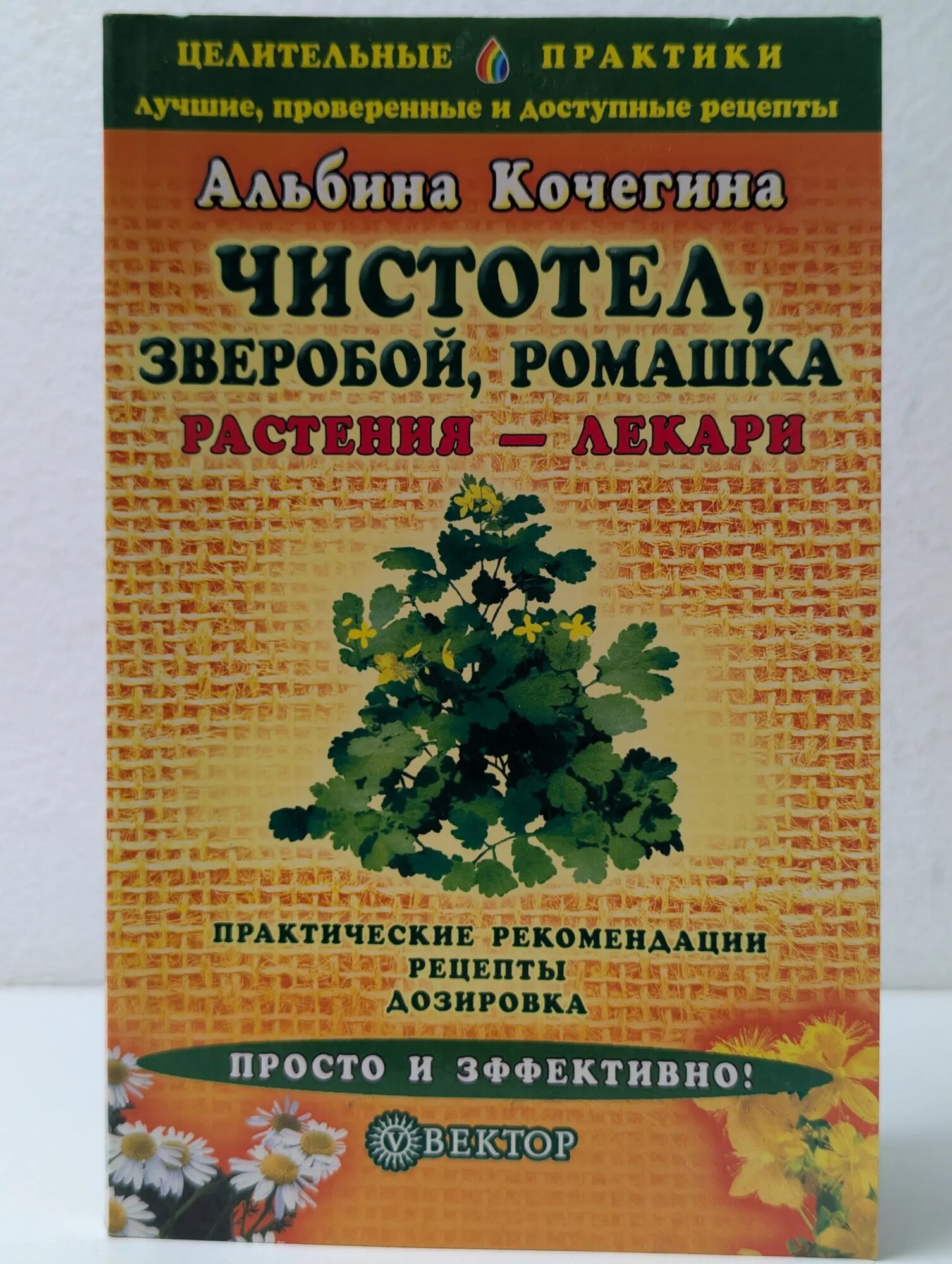 Целительные практики. Чистотел, зверобой, ромашка - растения-лекари Кочегина Альбина Анатольевна 2005