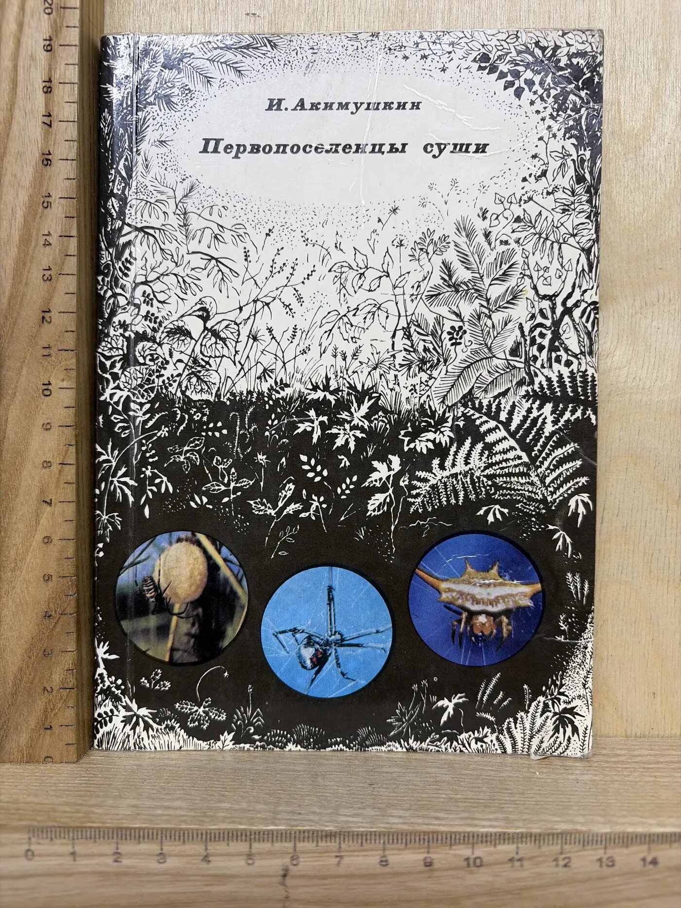 Первопоселенцы суши