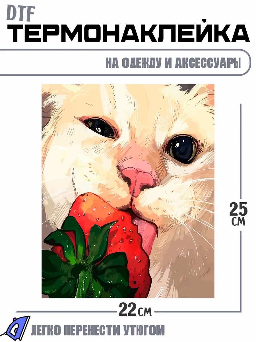Термонаклейка Кот
