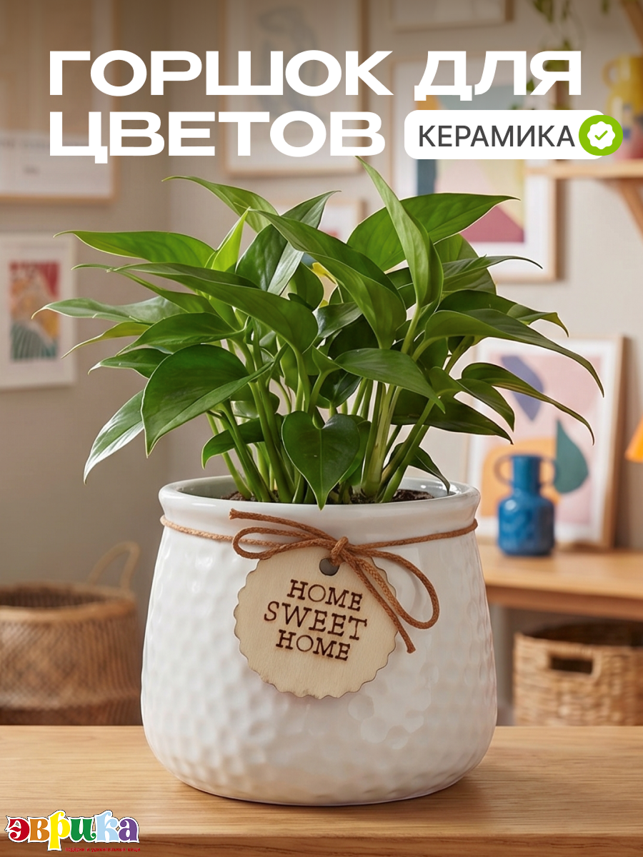 Горшок декоративный для цветов "Home sweet home" белый, керамика, кашпо для растений, суккулентов и кактусов, для дома