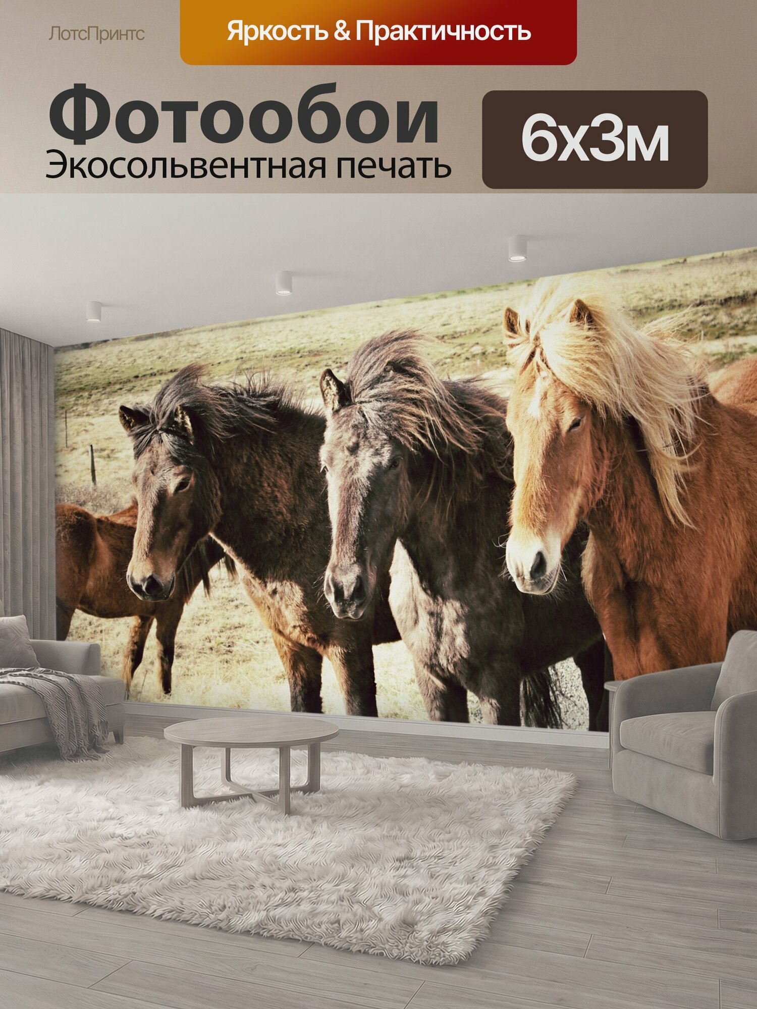 Фотообои "Лошади, исландские лошади, исландия" 600x300 см. экосольвентная печать