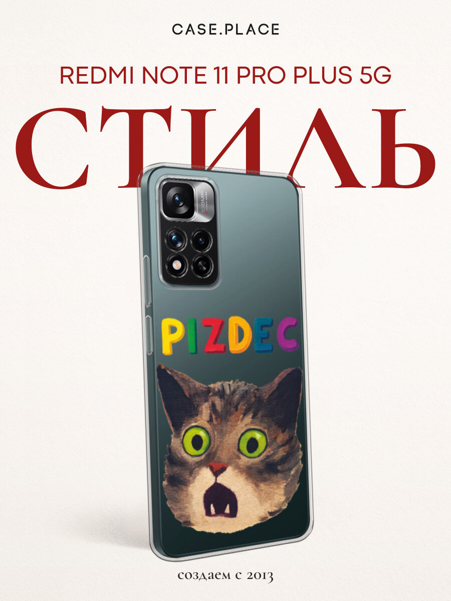 Чехол на Xiaomi Redmi Note 11 Pro Plus 5G / Сяоми Редми Нот 11 Про Плюс 5G с принтом Испуганный котик с надписью, прозрачный