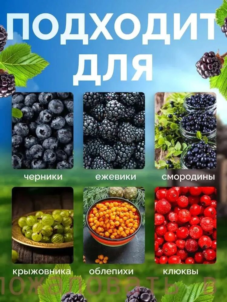 Плодосборник,23х14х10см — фото 1