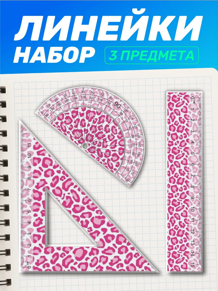 Набор линеек для школьника с транспортиром Леопард