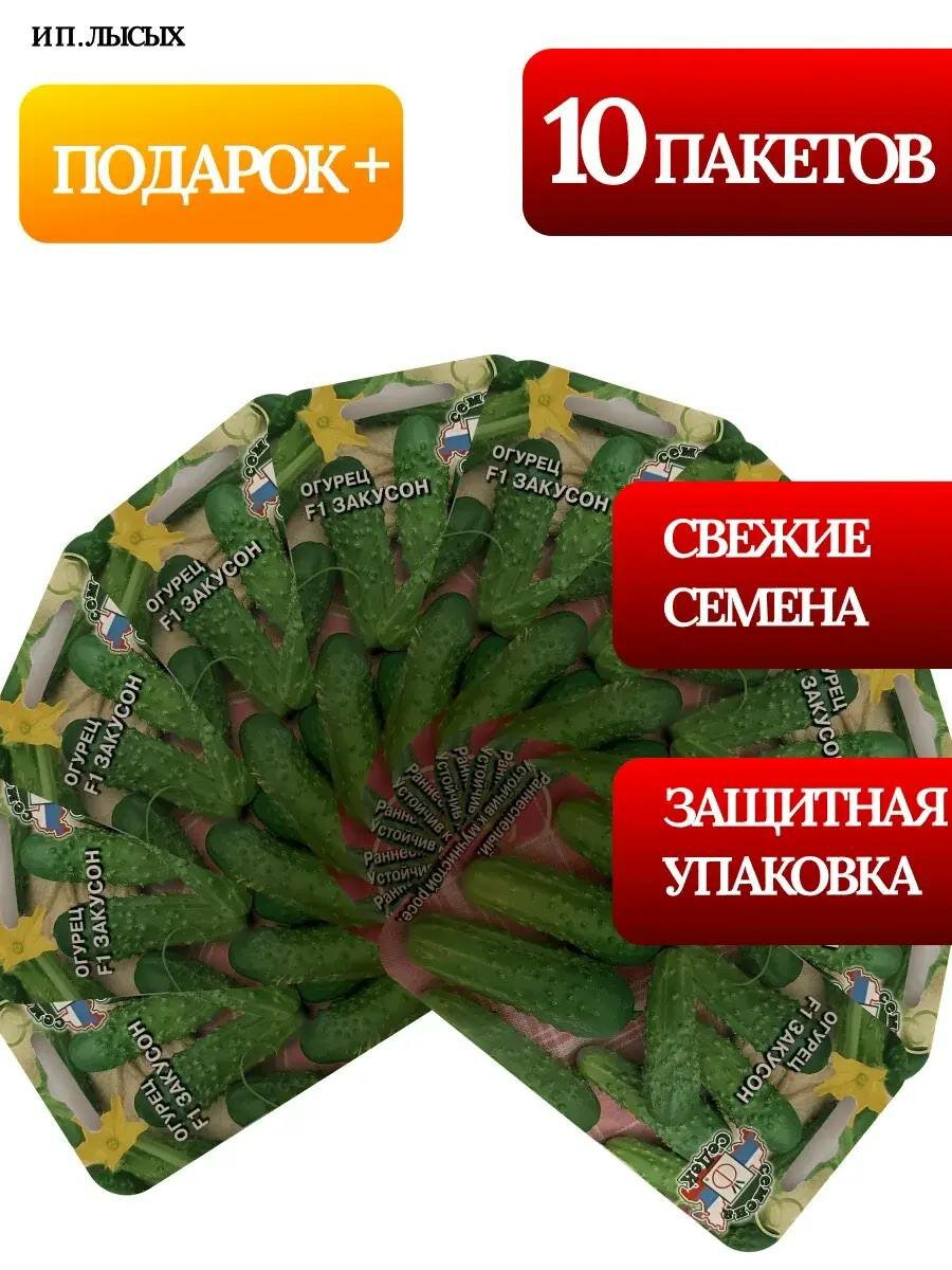 Семена Огурец "Закусон"