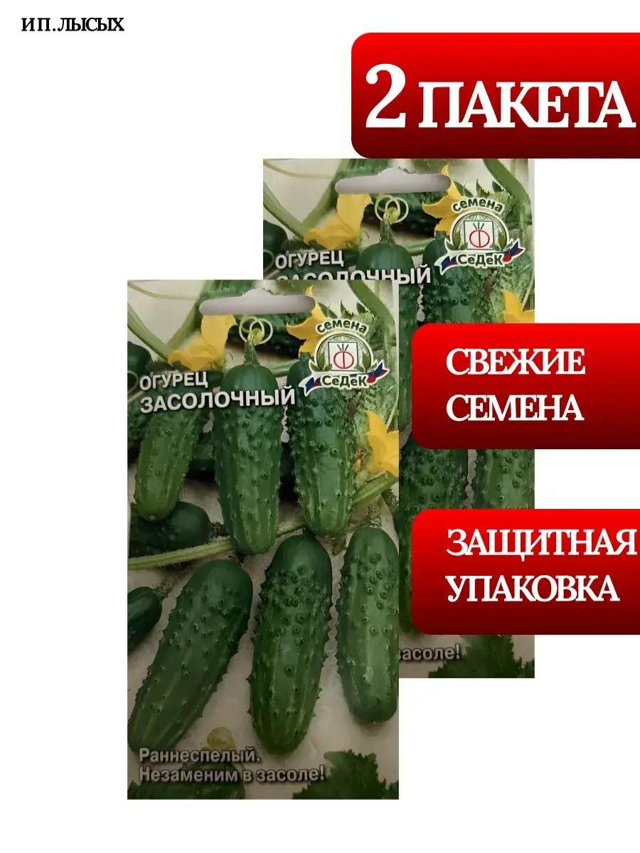 Семена Огурец "Засолочный"