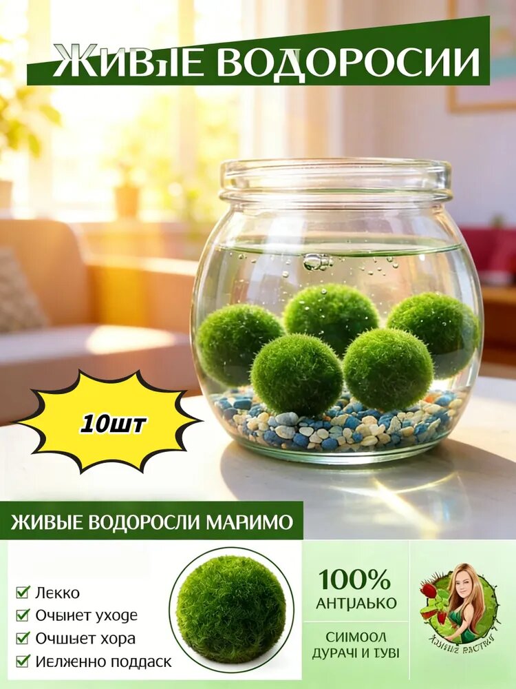 Живые водорослиНабор 10 шт, Натуральный мох шарики для аквариума, Символ удачи и любви