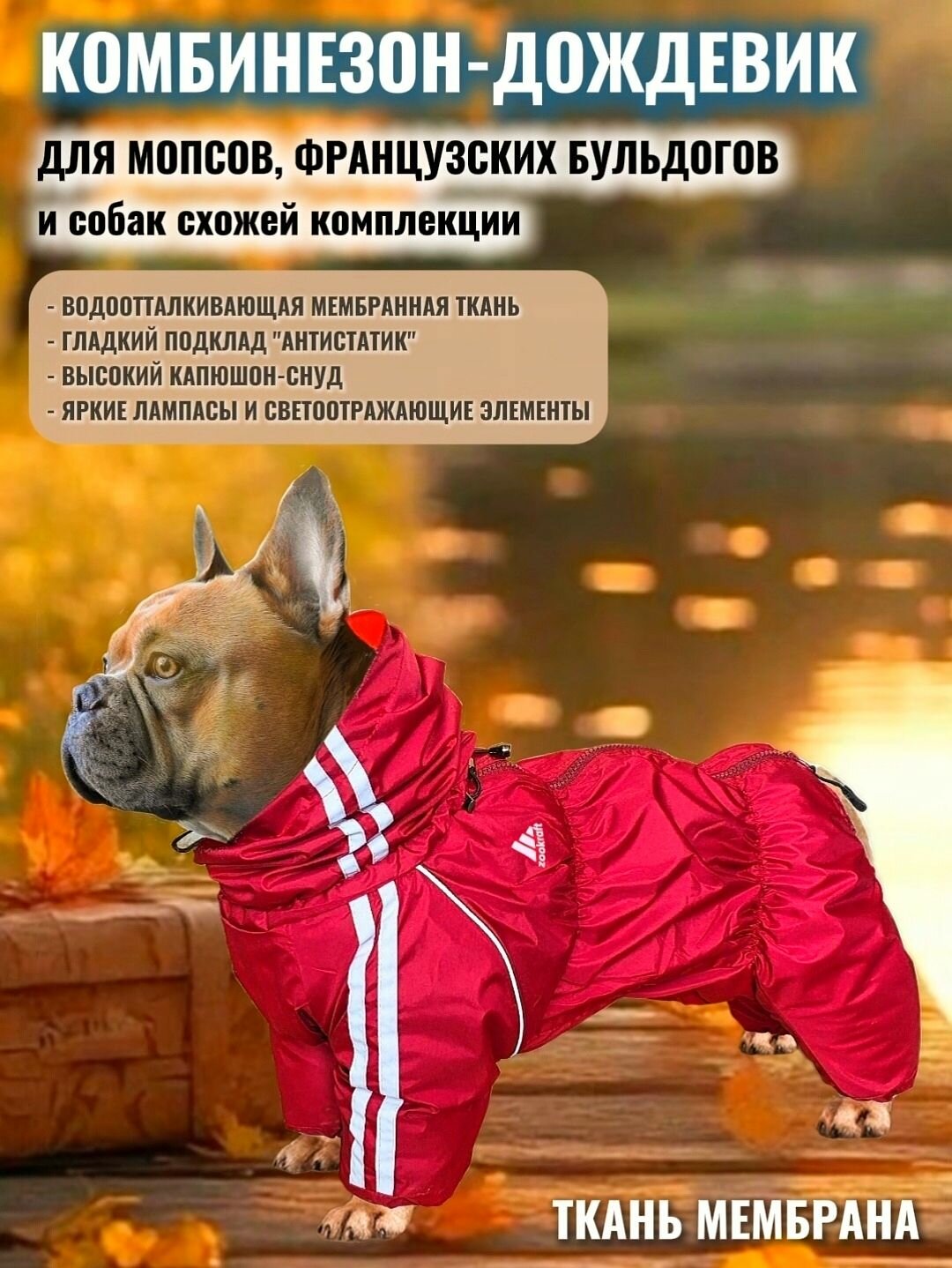 Комбинезон-дождевик на мембране для собак: французских бульдогов, мопсов, красный, ФР-2