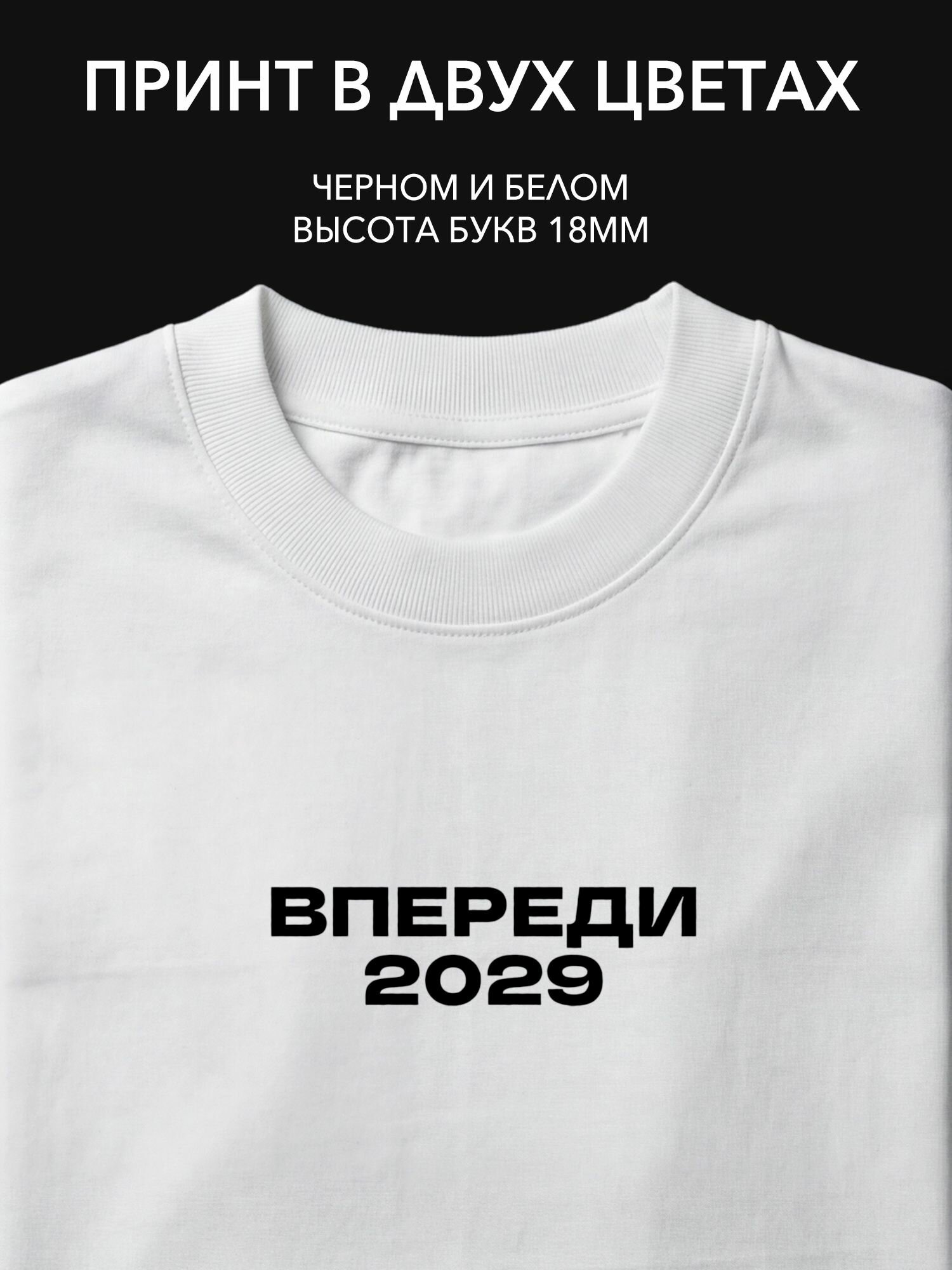 Термопринт надпись на одежду "Впереди 2029" для новогодних праздников и рождественских встреч.