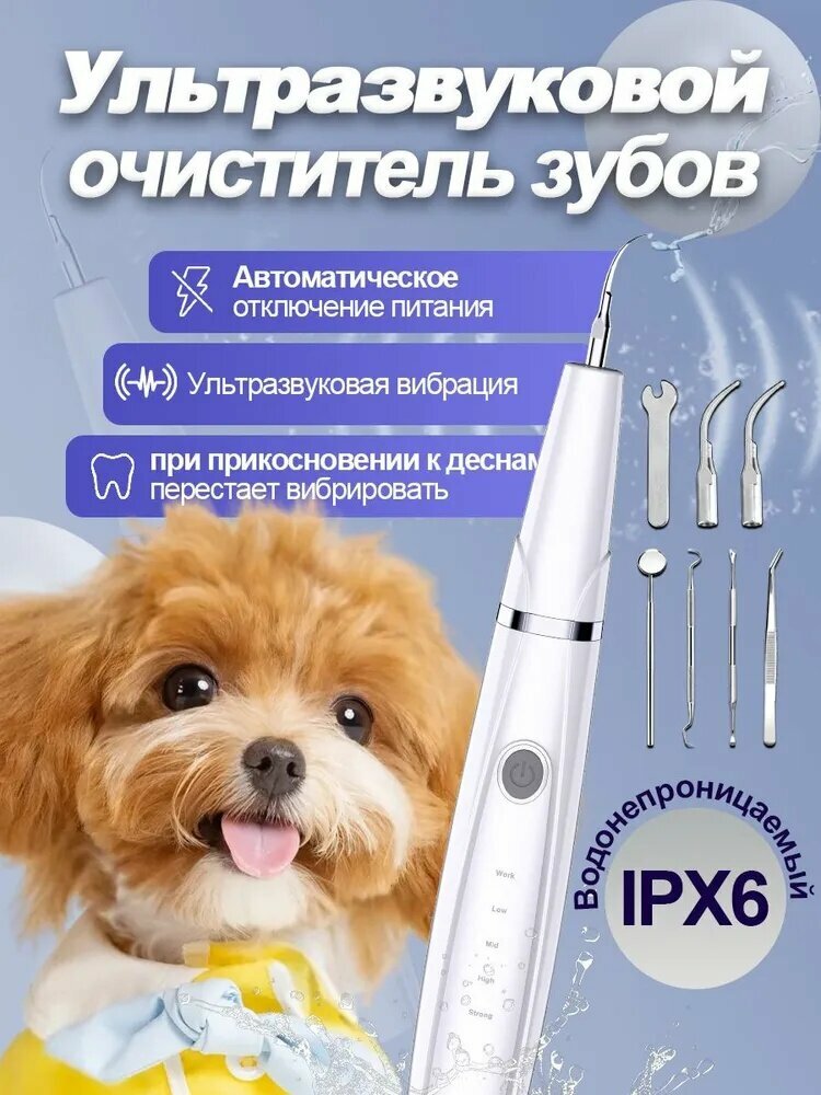 Скалер ультразвуковой для зубов, для собак, ультразвуковой скалер для зубов для удаления зубного камня