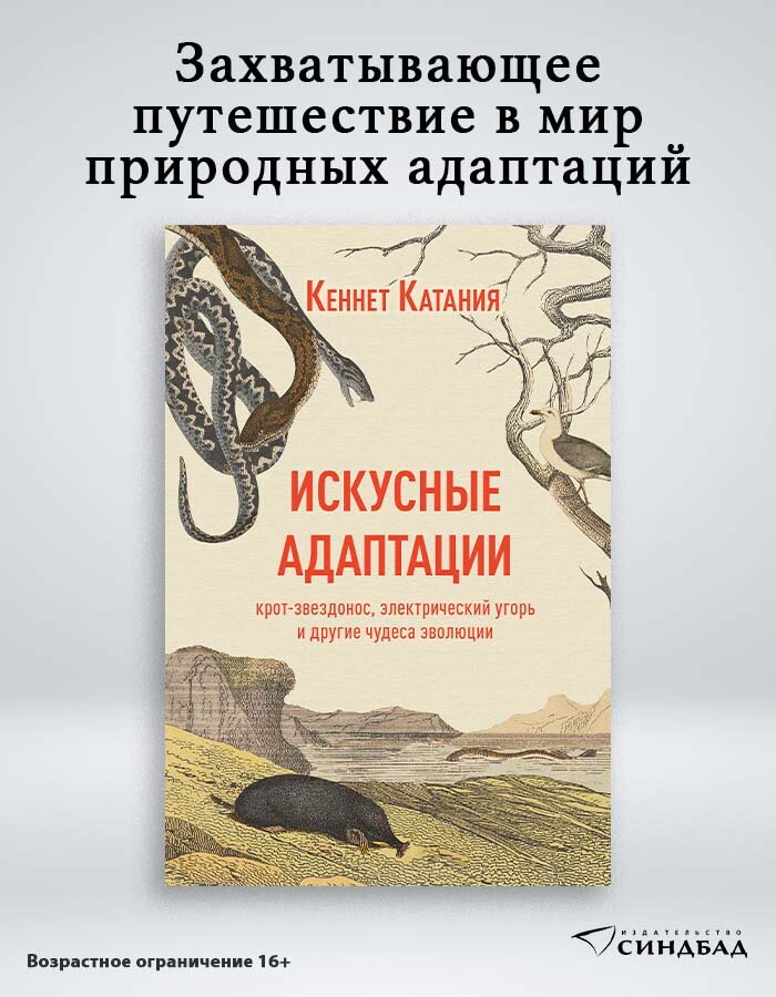 Книга Искусные адаптации. Кеннет Катания. Синдбад. Твердый переплет