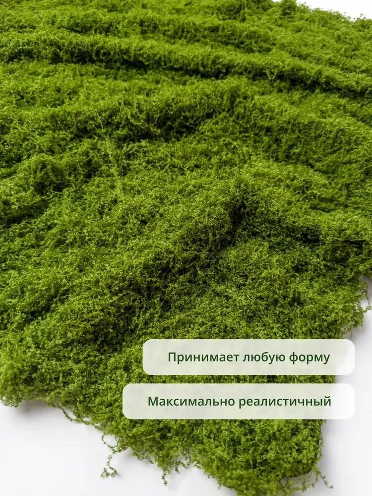 Стабилизированные цветы — фото 1
