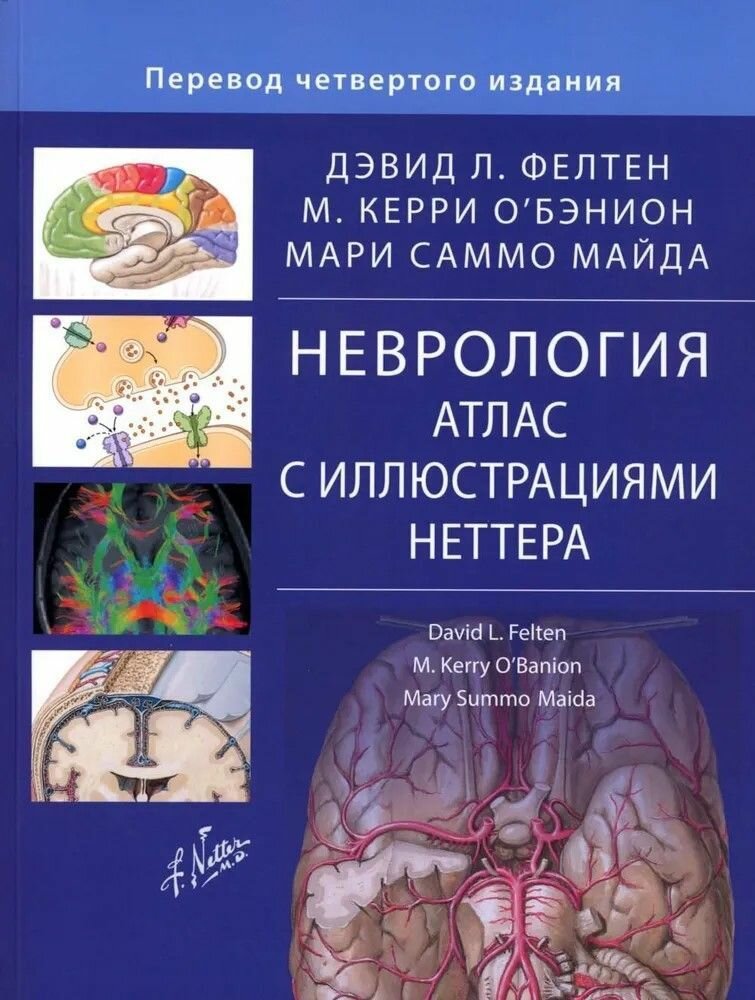 Неврология. Атлас с иллюстрациями Неттера. Фелтен Д. Л, О'Бэнион М. К, Майда М. С.