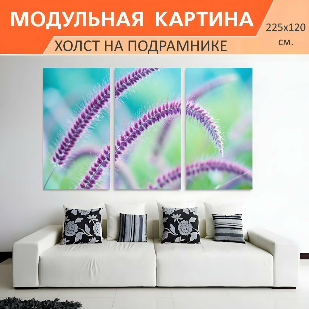 Модульная картина на холсте "Пурпурные злаки на мягком фоне. Нежные фиолетово-розовые колоски с пушистой текстурой на размытом." триптих на подрамнике 225х120 см. для интерьера