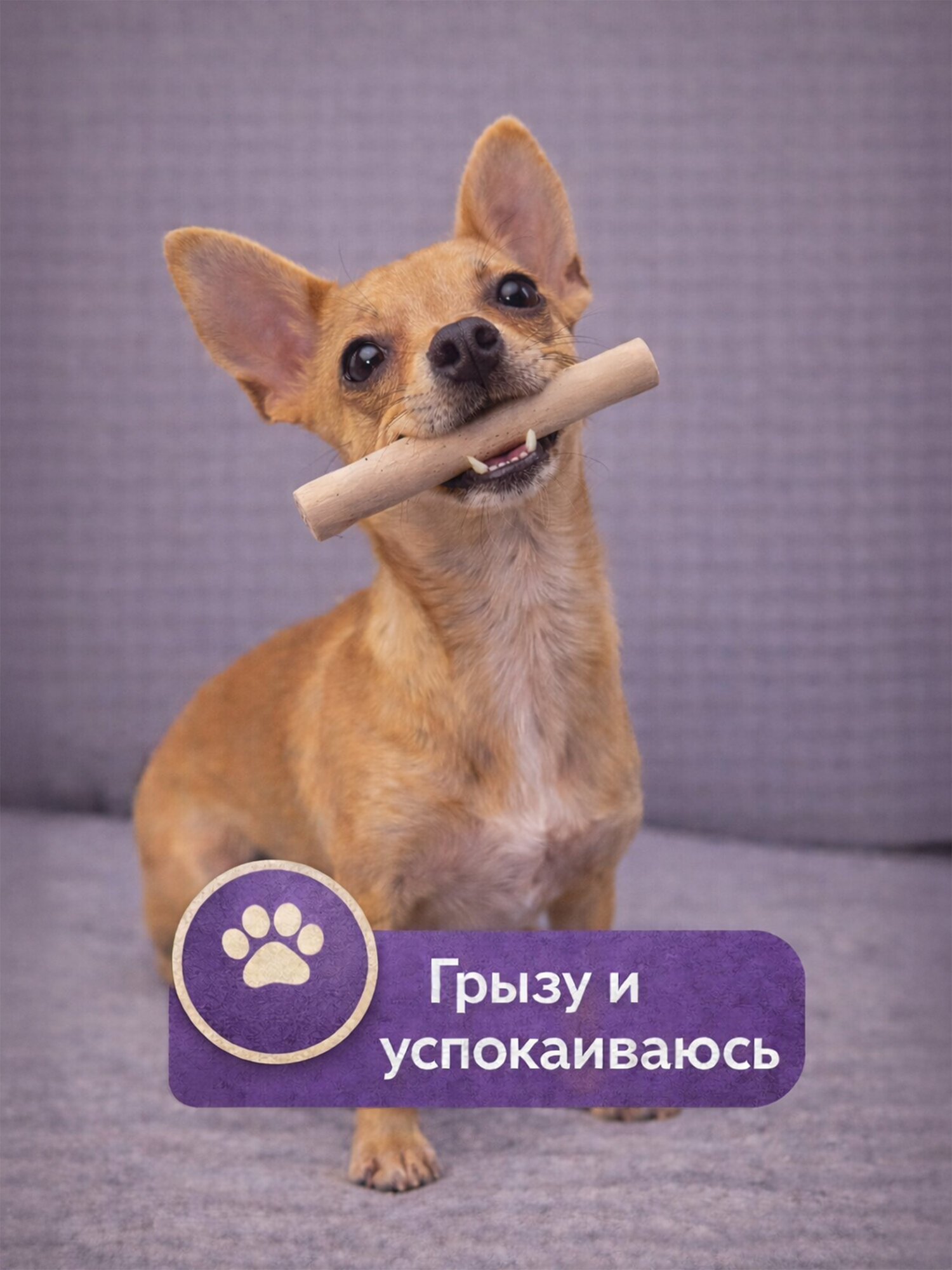 Игрушка-грызунок для собак мелких пород, палочка из берёзы, 4 шт