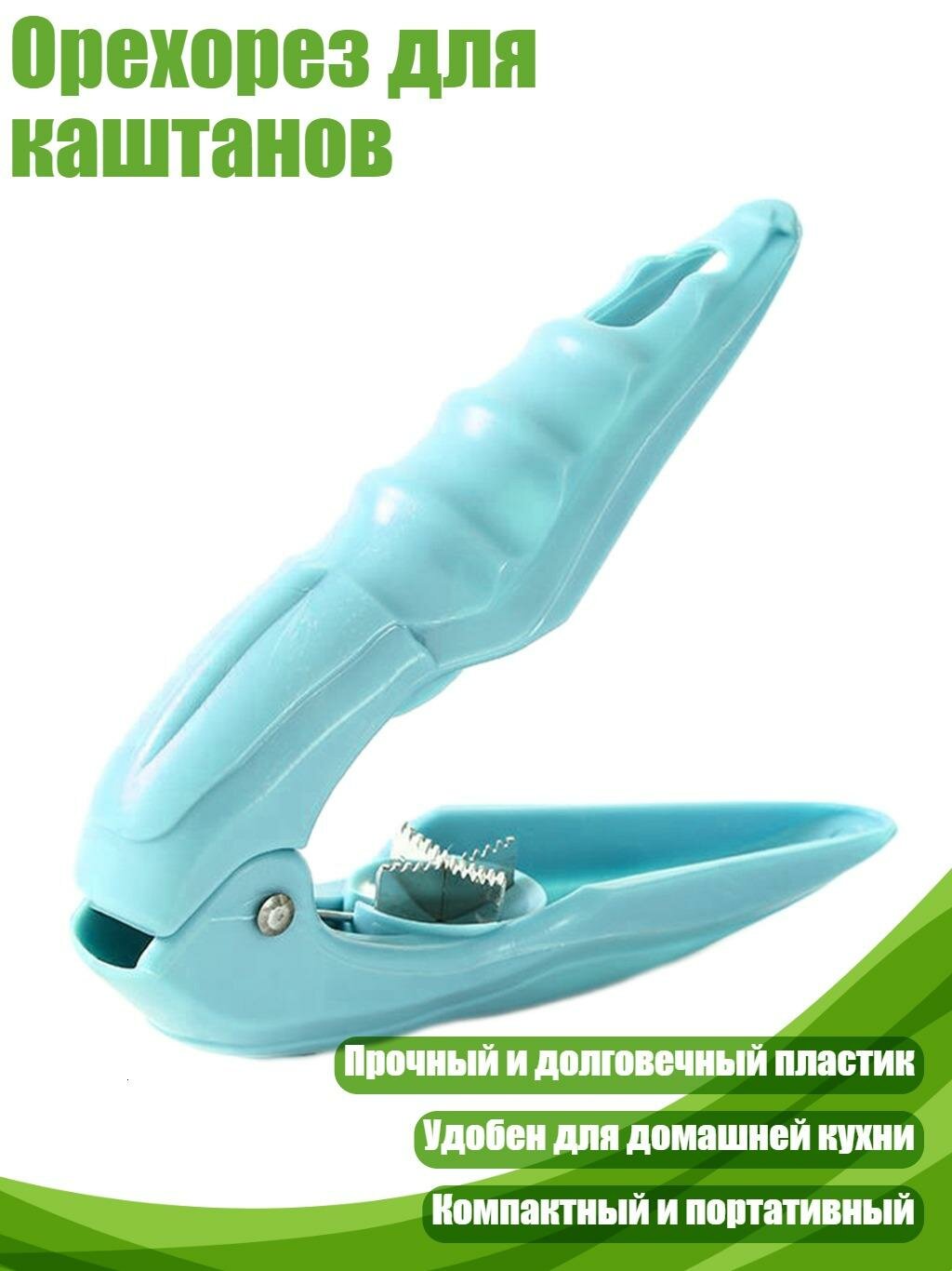 Орехорез для каштанов, Синий