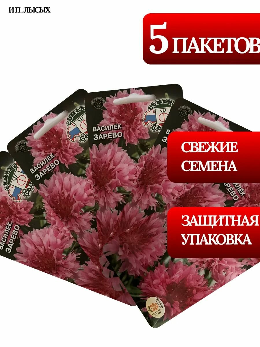 Семена Василек "Зарево"