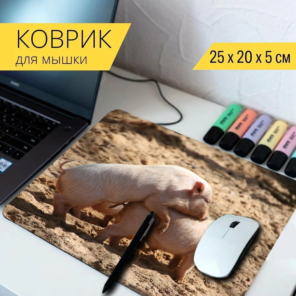 Коврик для мыши с принтом "Дикая природа, свинья, мини-свинья" 25x20см.