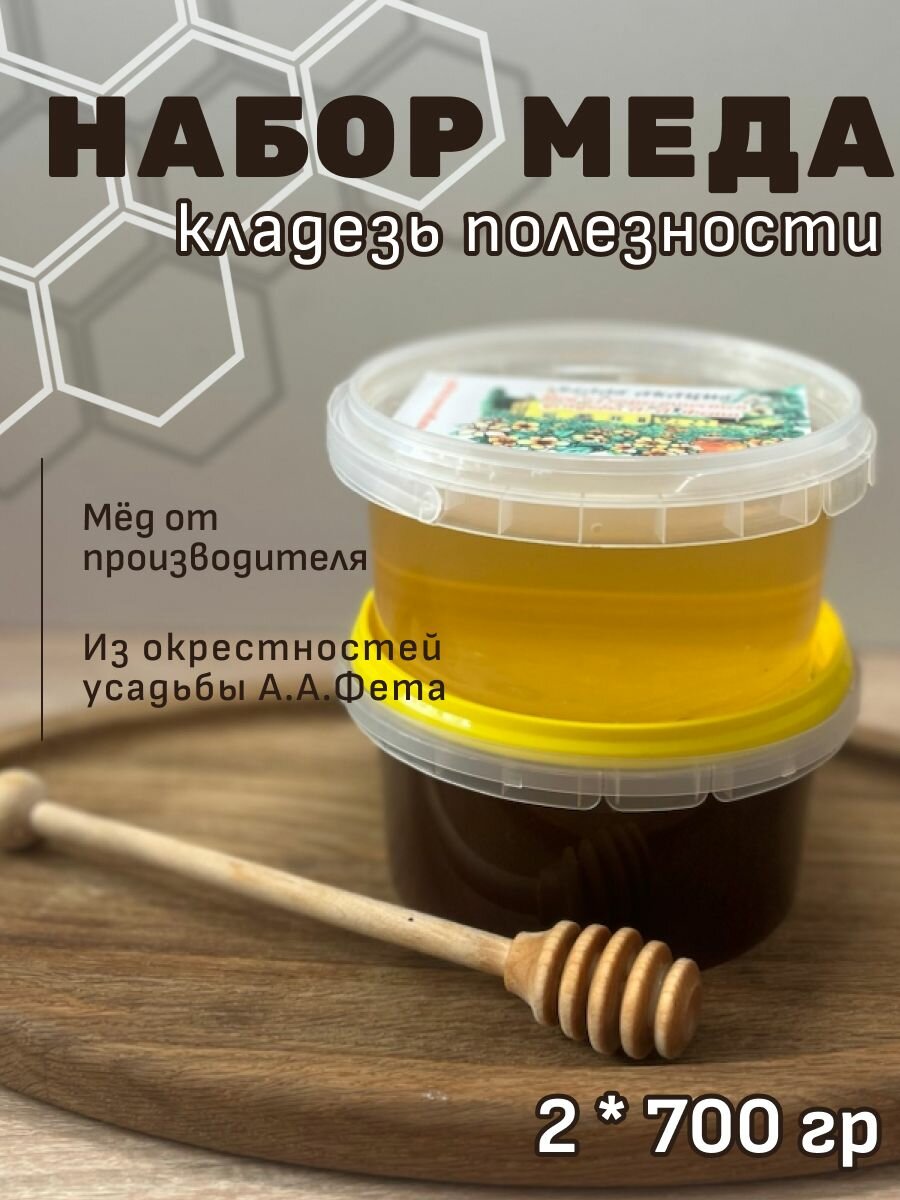 Медовый набор " Кладезь полезности" (Бортевой+белая акация) 2*700 грамм