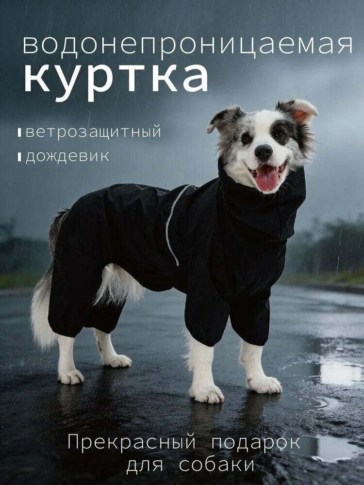 Непромокаемые дождевики на молнии для собак и кошек черные для прогулок в дождливые дни с защитой от влаги и грязи