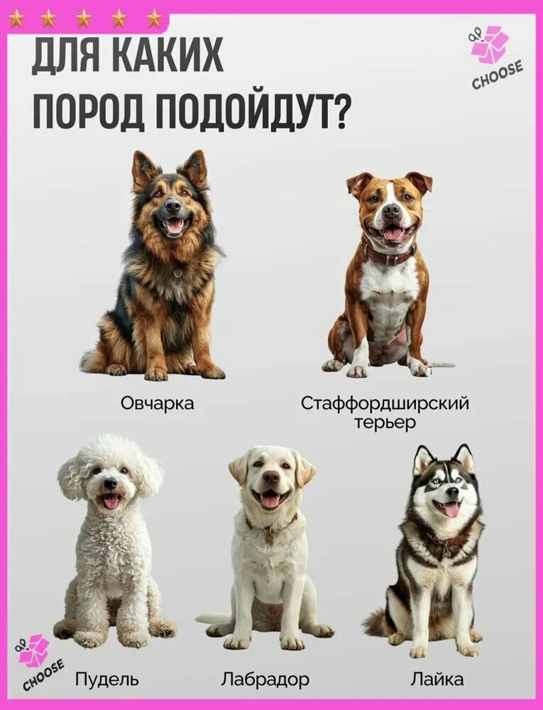 Обувь для собак,-XL — фото 1
