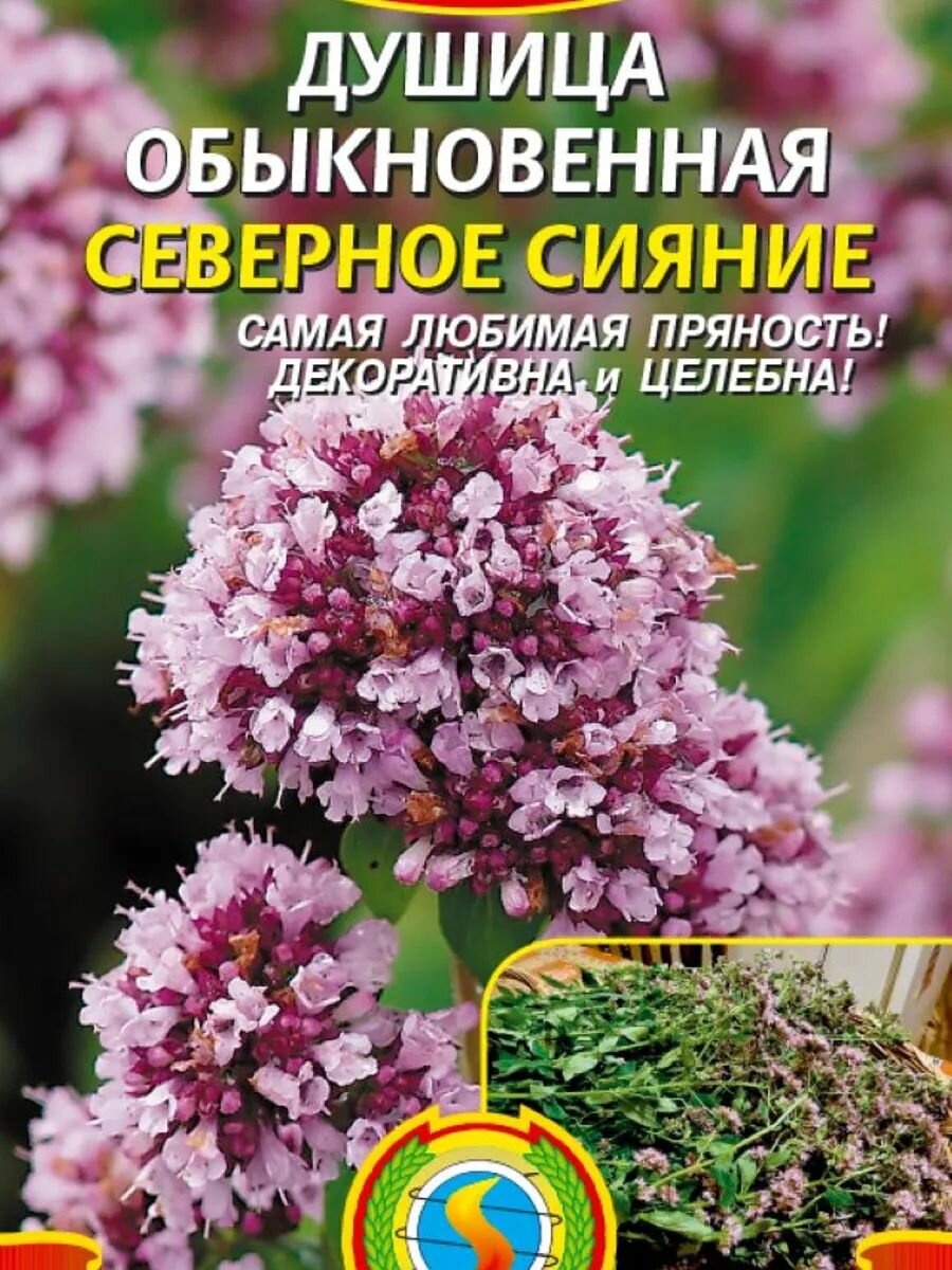 Душица (орегано) Северное сияние 0,1 г, Плазменные семена