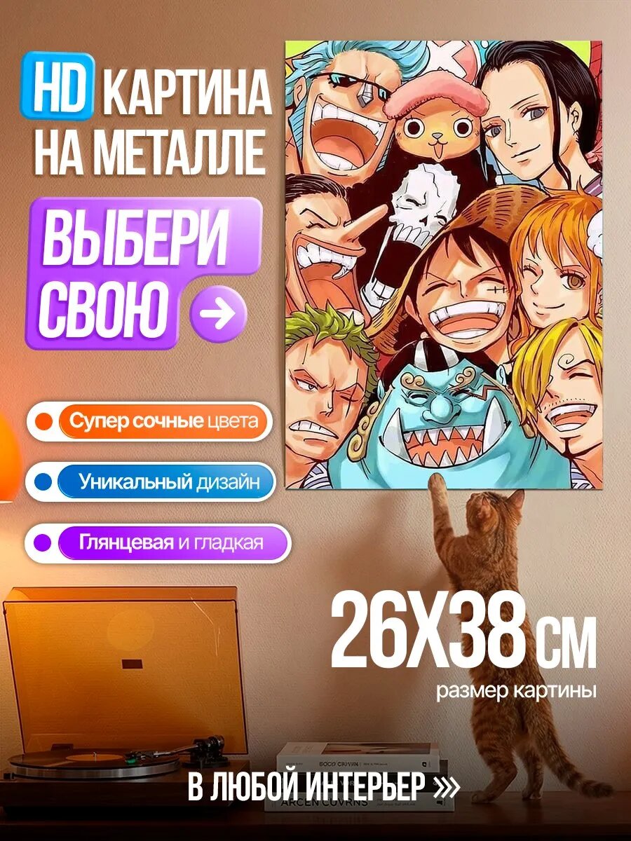 Картина на HD металле Команда Ван Пис