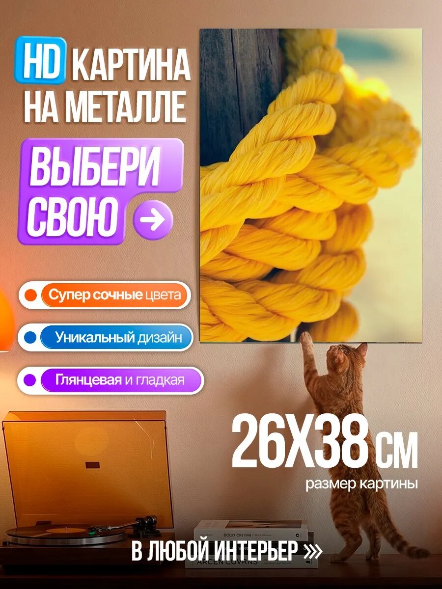 Картина на HD металле Желтая веревка