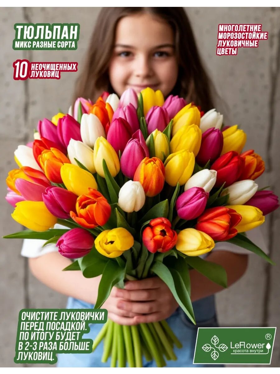 Тюльпан Луковица, Микс сортов 10 шт