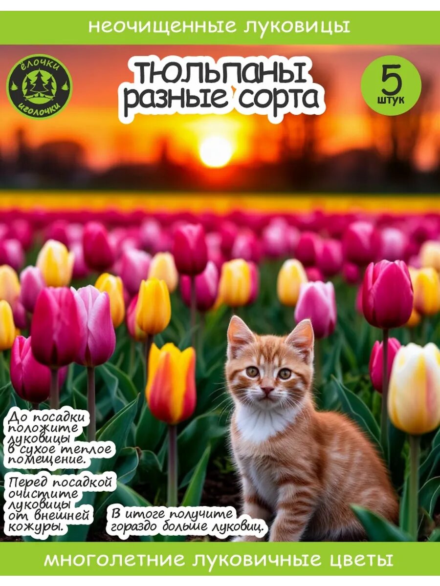Тюльпан луковичные цветы, Микс сортов 5 шт