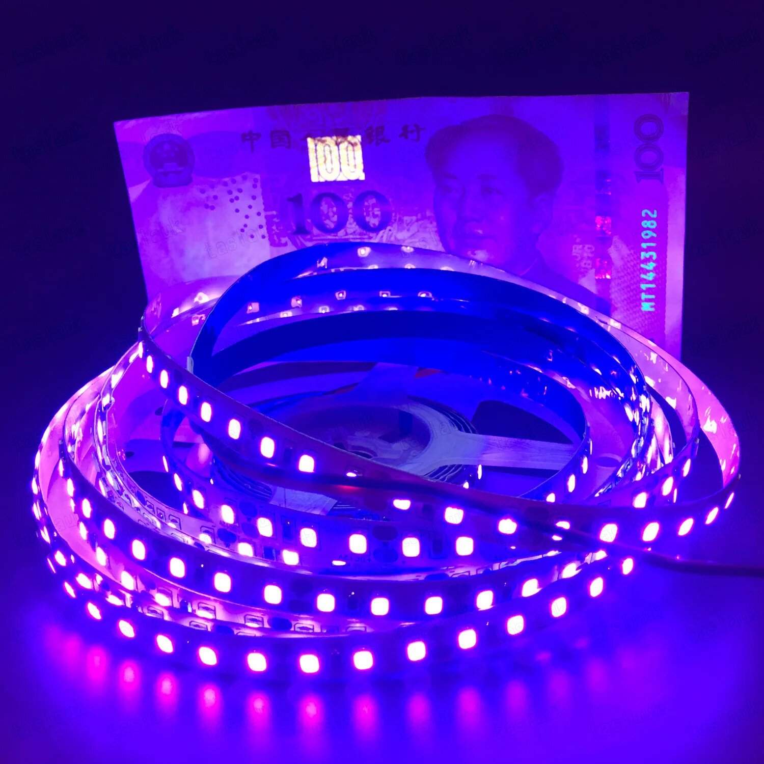 Светодиодная лента 5M 12V 2835 120leds