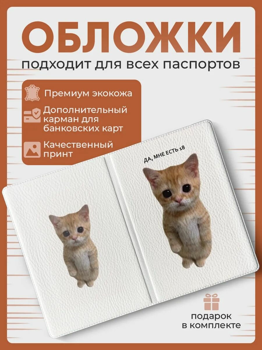 Обложка для паспорта СП СТОУНИ