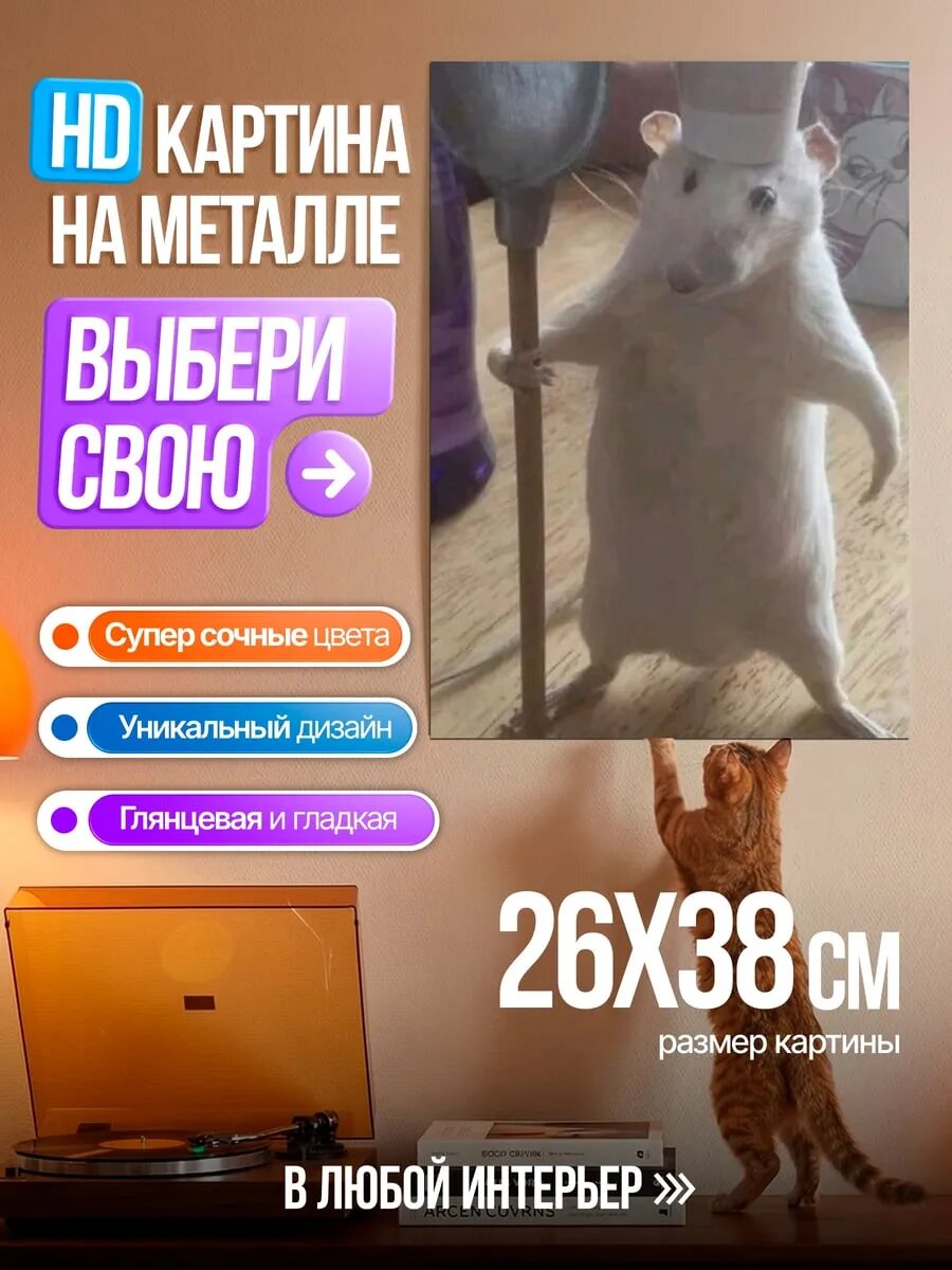 Картина на HD металле Крыса повар