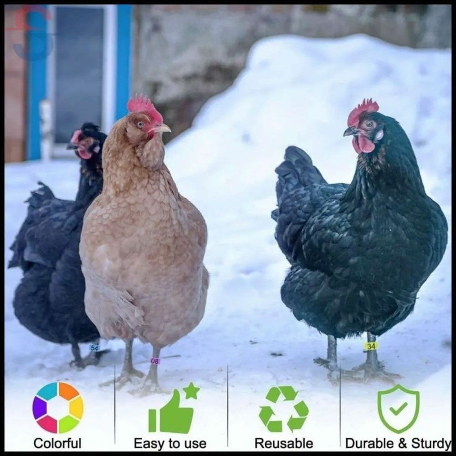 Кольцо для маркировки ног птиц 1-50 1-100 1-150