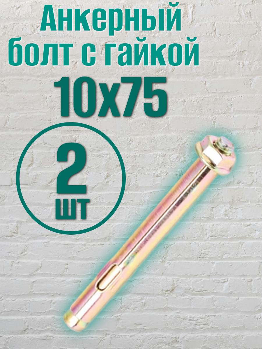 Анкерный болт с гайкой 10х75 (2 шт)