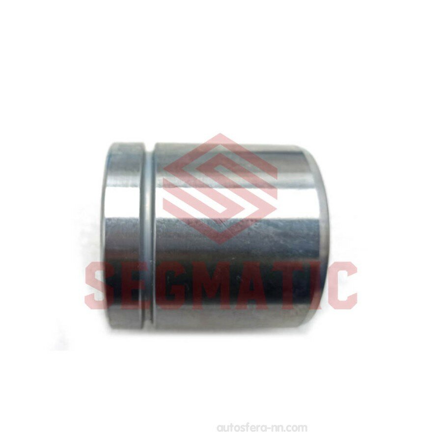 SEGMATIC SG500059 Поршень тормозного суппорта AUDI TT / VOLKSWAGEN PASSAT (3C2) (3C5) / GOLF PLUS / TOURAN 01-06