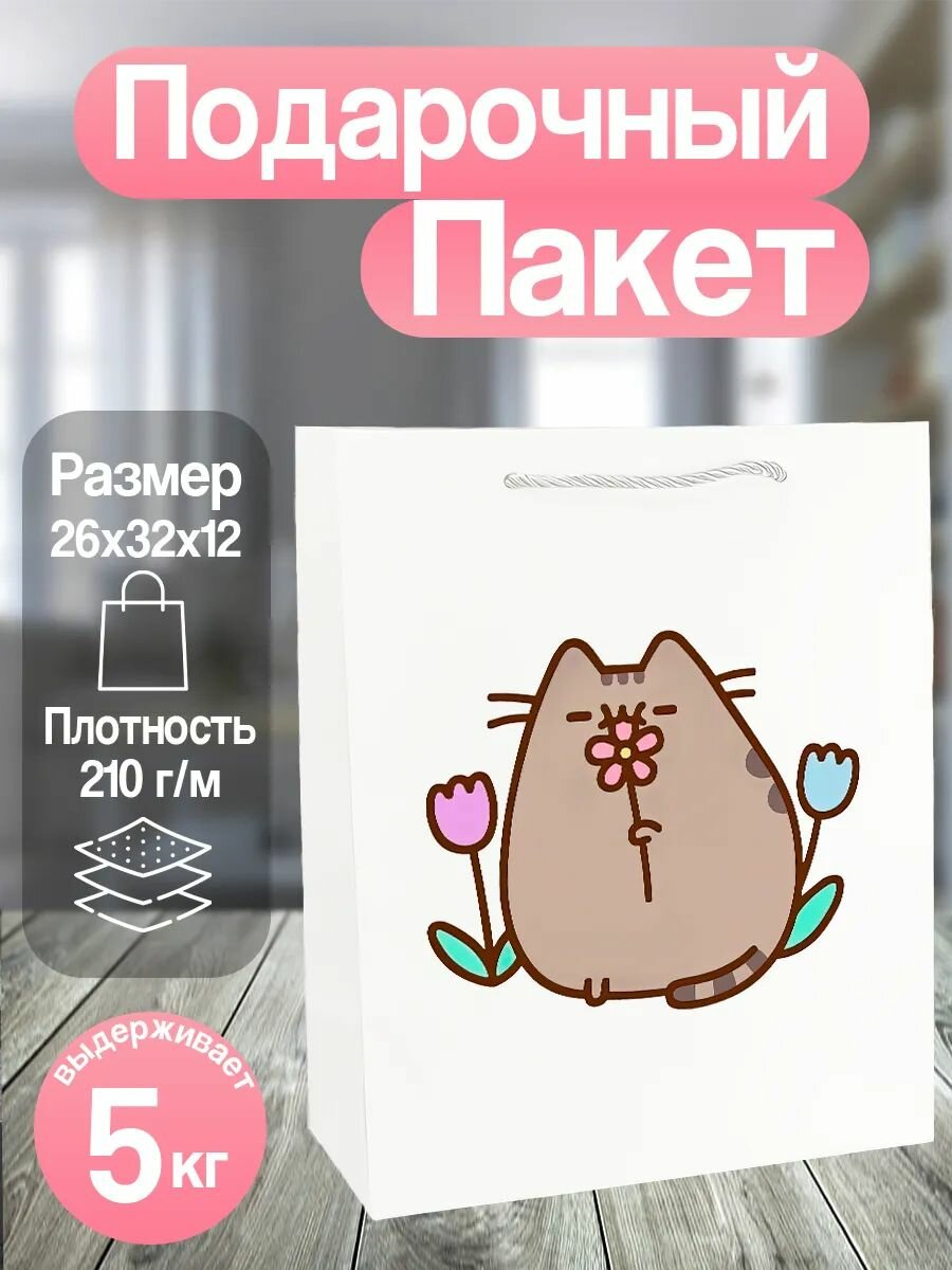 Пакет подарочный пушин кот