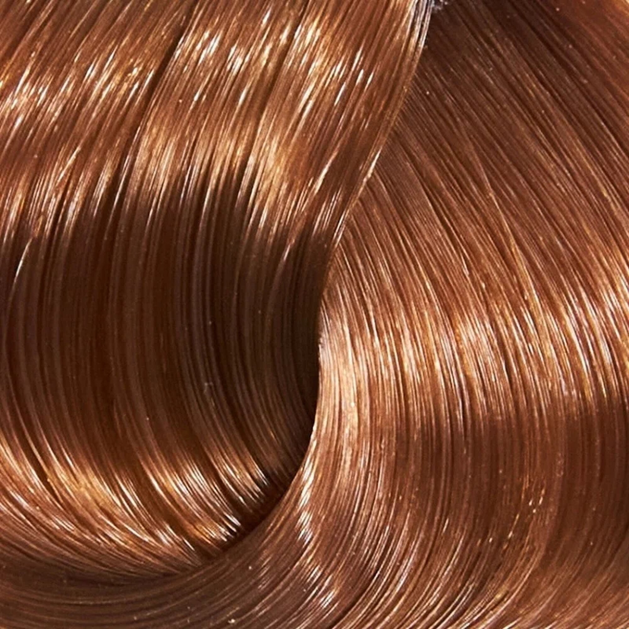 Краситель для волос 8/03 светло-русый натурально-золотистый Bouticle Expert Color