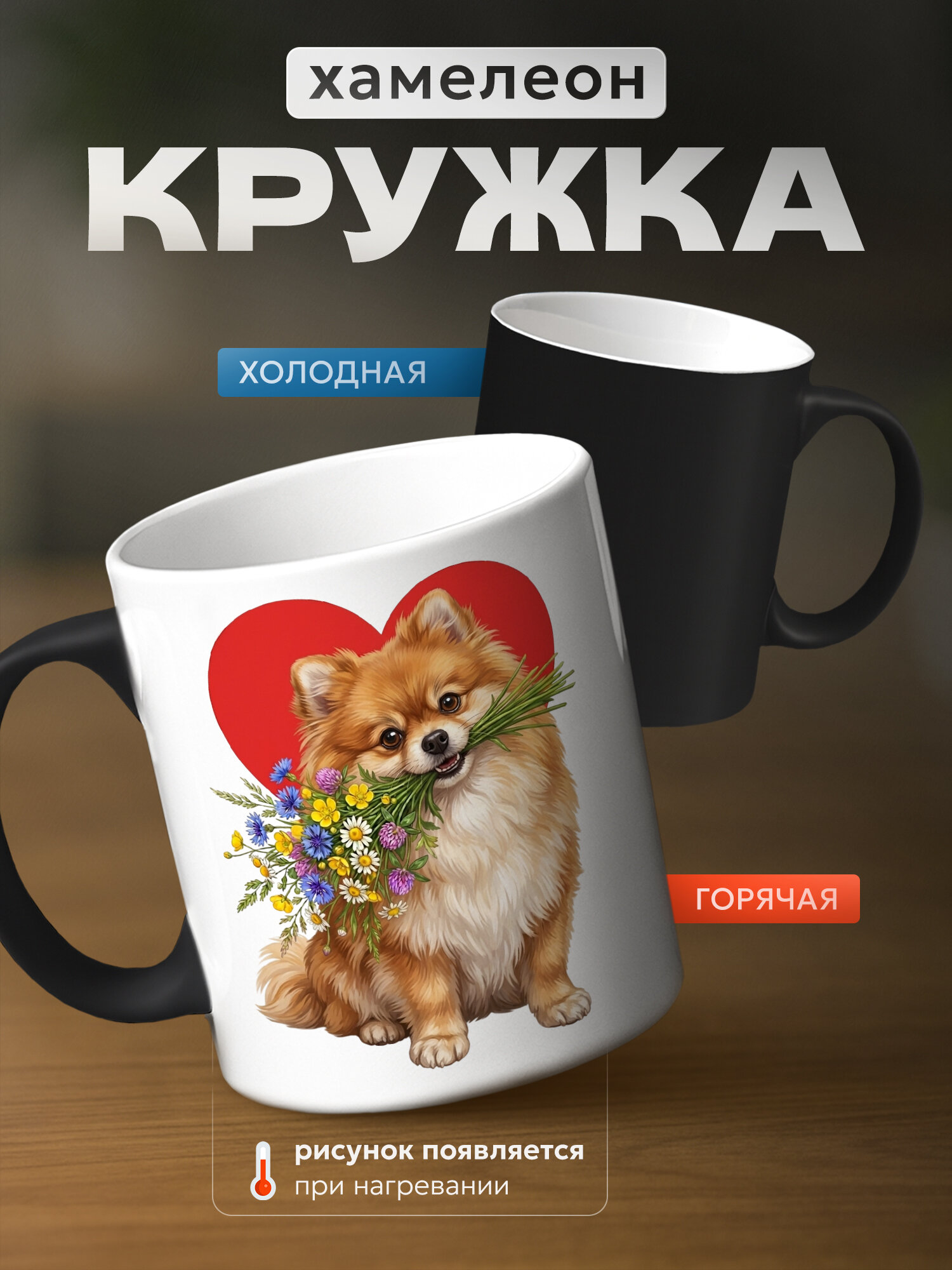 Кружка хамелеон Померанский шпиц