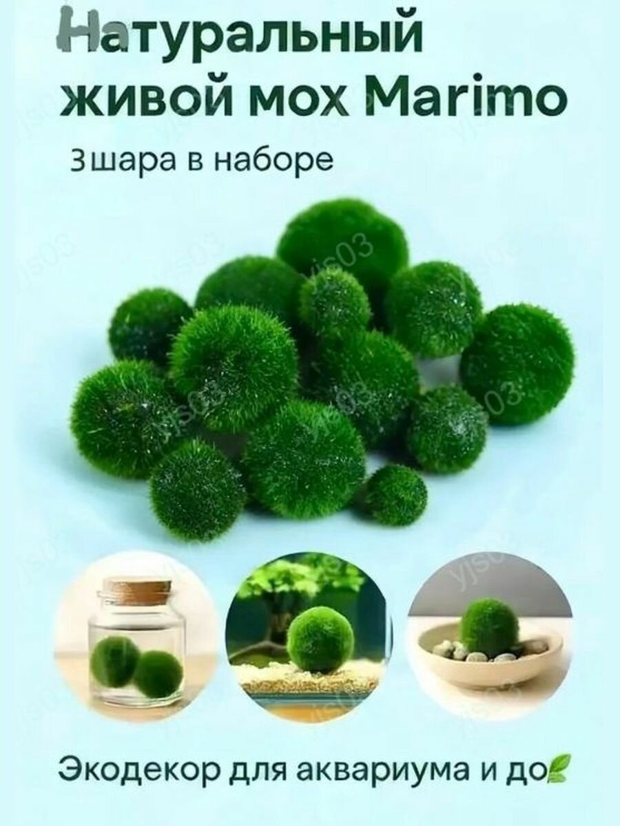 Сферические шарики из морских водорослей, украшение для аквариума, упаковка из 4 штук