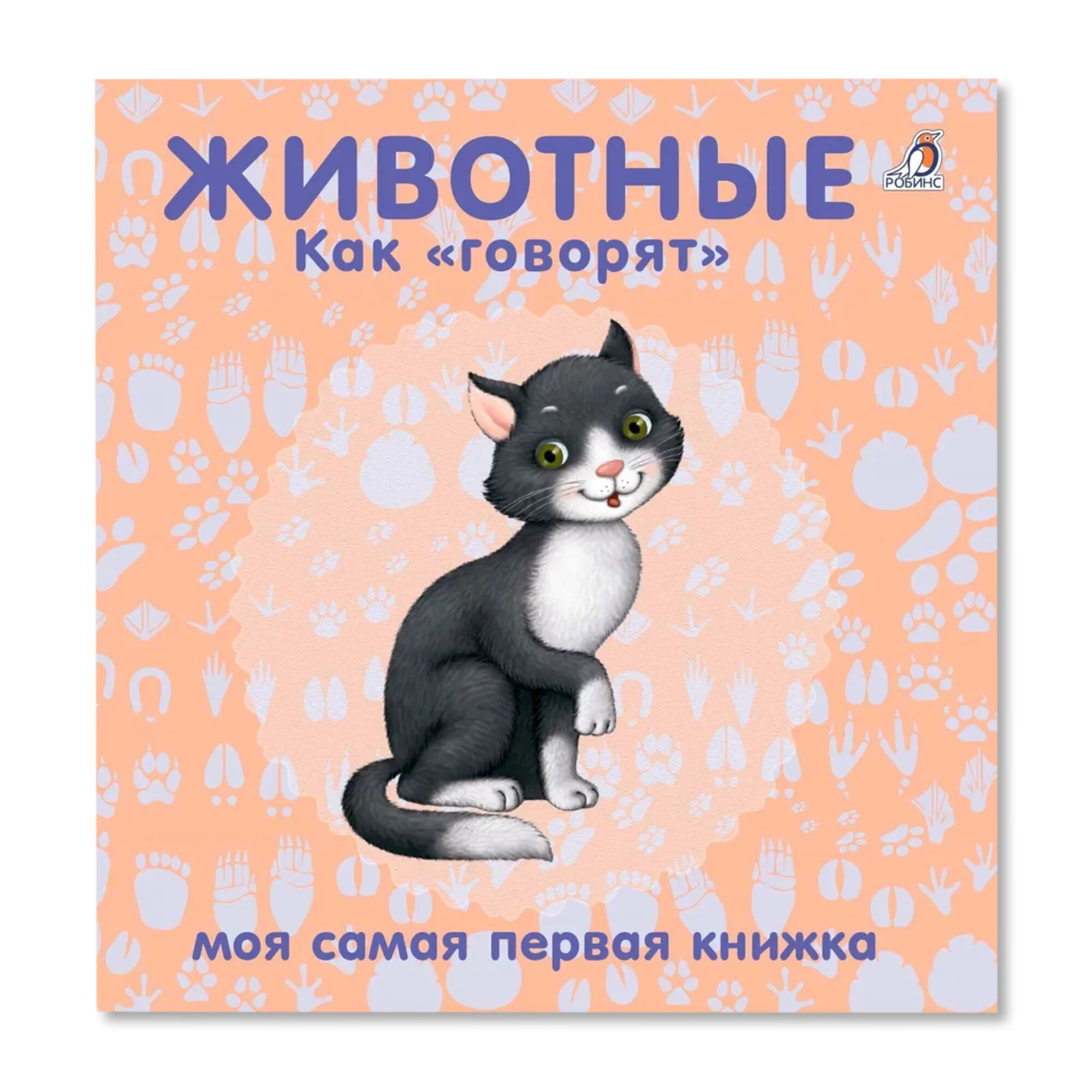 Как устроен мост? — фото 1