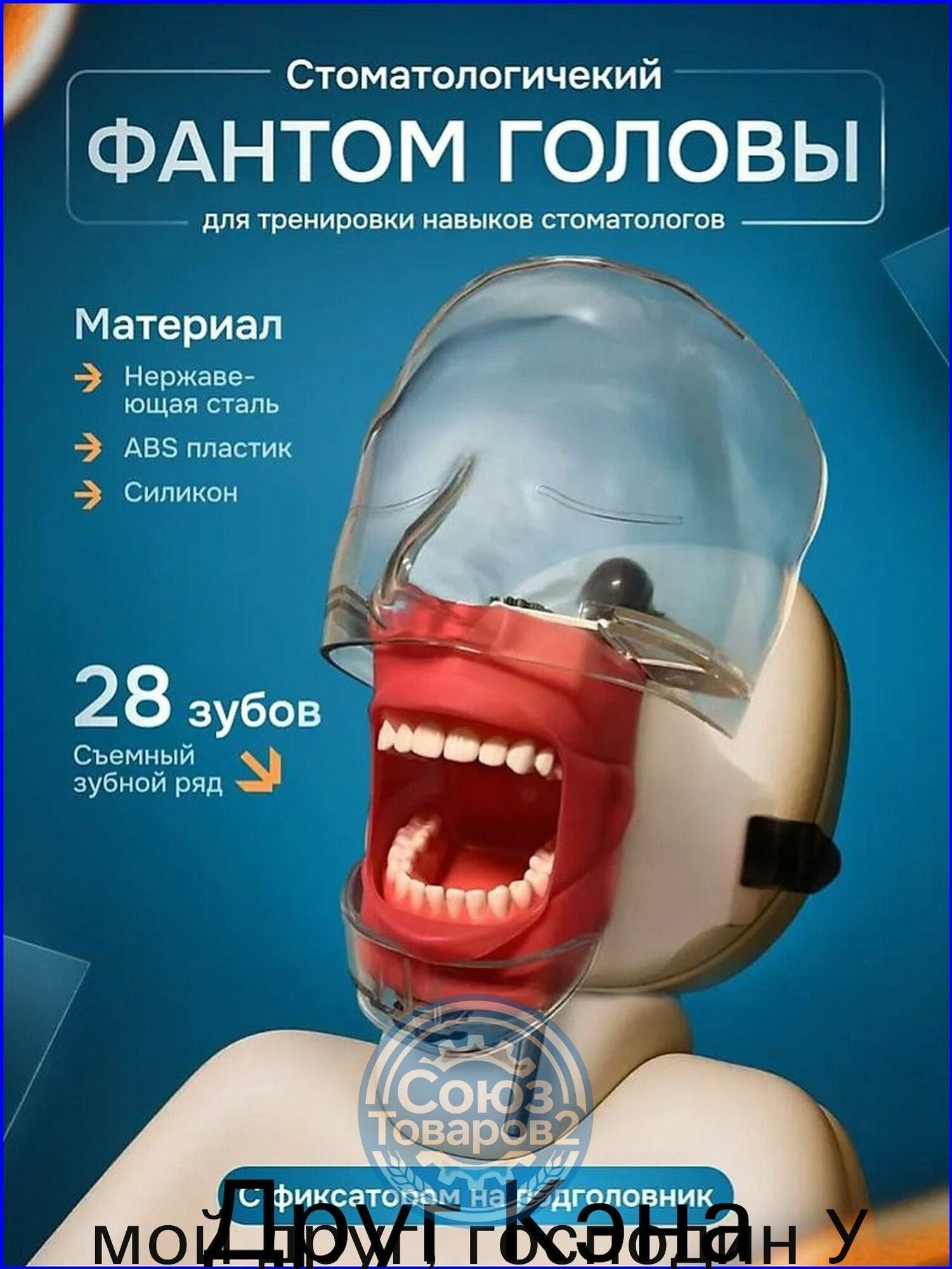 Эксклюзивный фантом головы Corpo de Phantom с 28 зубами премиум класса поставляется в полной комплектации