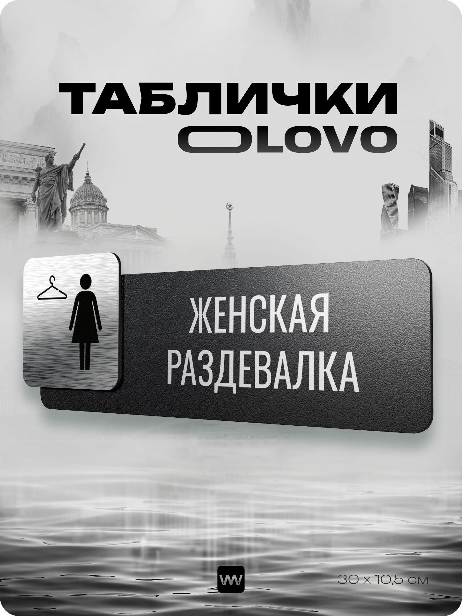 Табличка "Женская раздевалка" на дверь, для офиса, общественного места, серия OLOVO/олово SLV, Айдентика Технолоджи