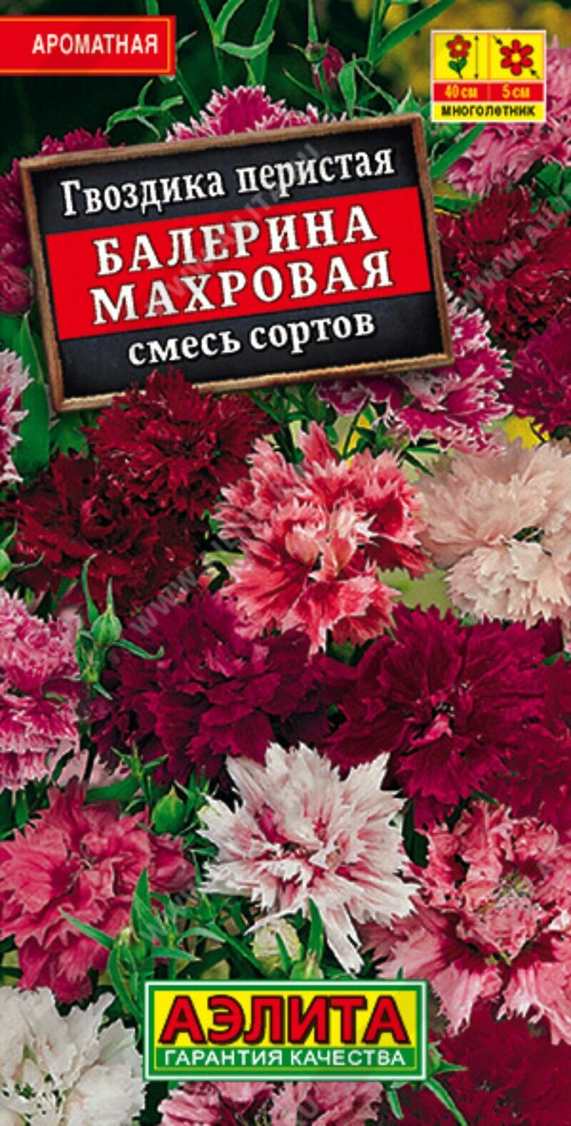 Семена Гвоздика Балерина махровая, смесь сортов (0,1 г), Агрофирма Аэлита