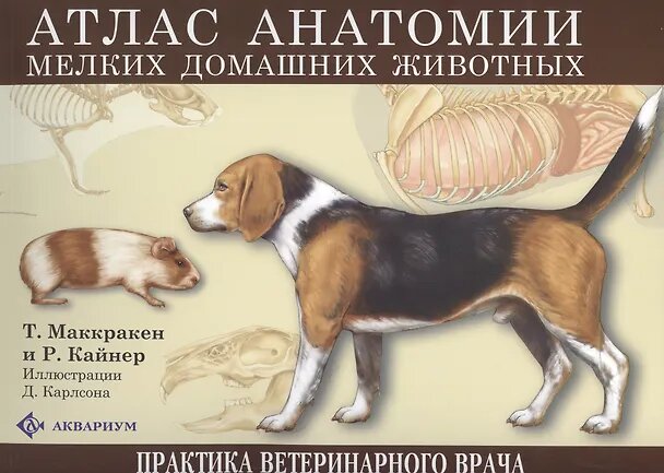 Атлас анатомии мелких домашних животных
