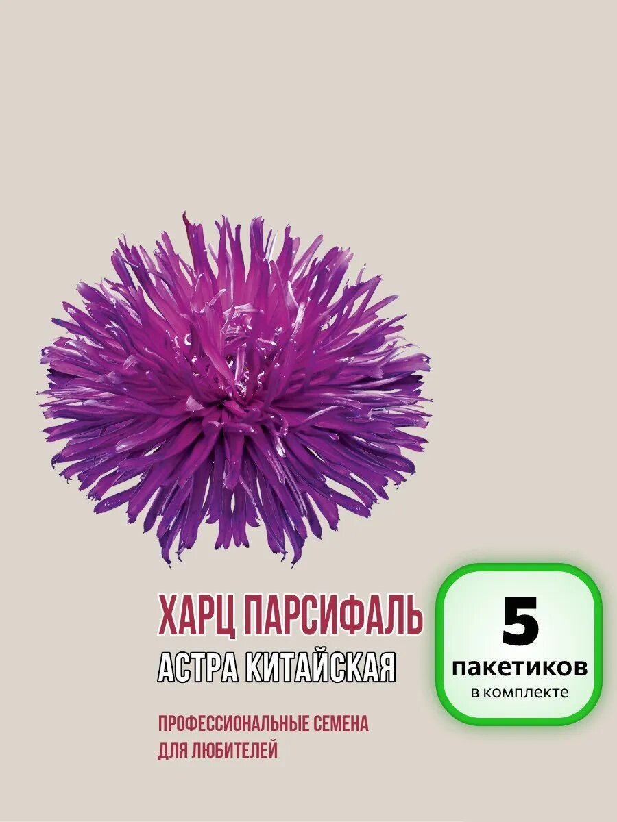 (5 шт.) - Семена Астра китайская харц парсифаль 0,2г