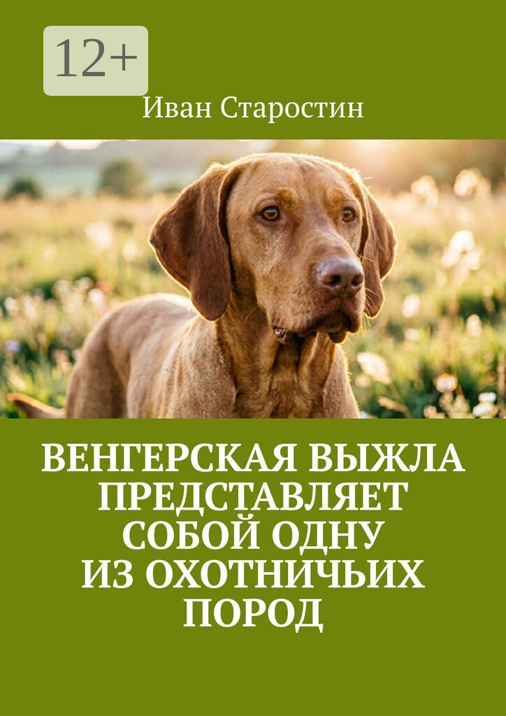 Венгерская выжла представляет собой одну из охотничьих пород
