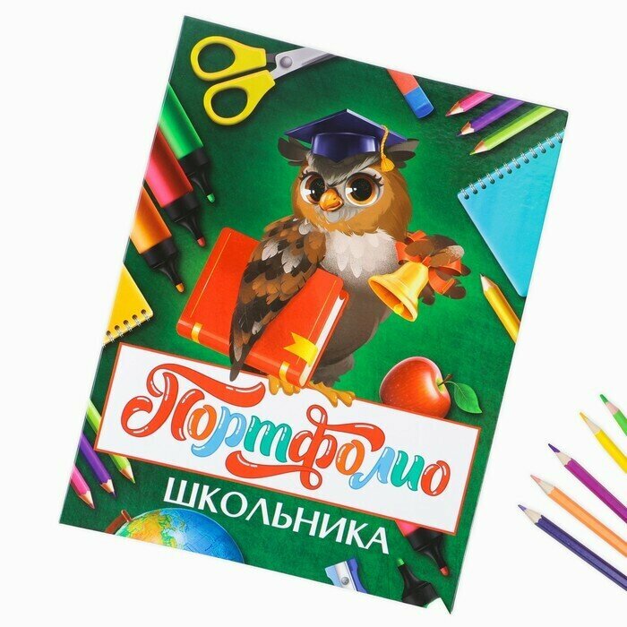 Папка на кольцах 'Портфолио школьника', сова, 6 листов, 24,5х32 см