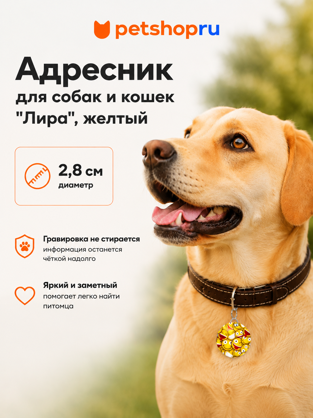 Круглый адресник "Лира" с рисунком "улыбка"